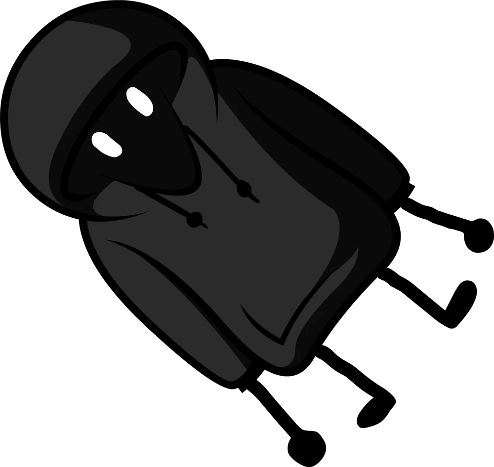 Hoodie | Find the BFB Characters Wiki | Fandom