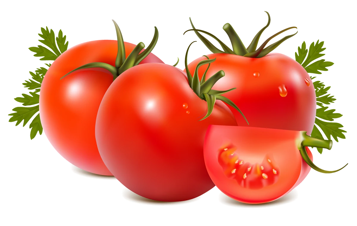 Tomato | JKKWorks Studio Wiki | Fandom