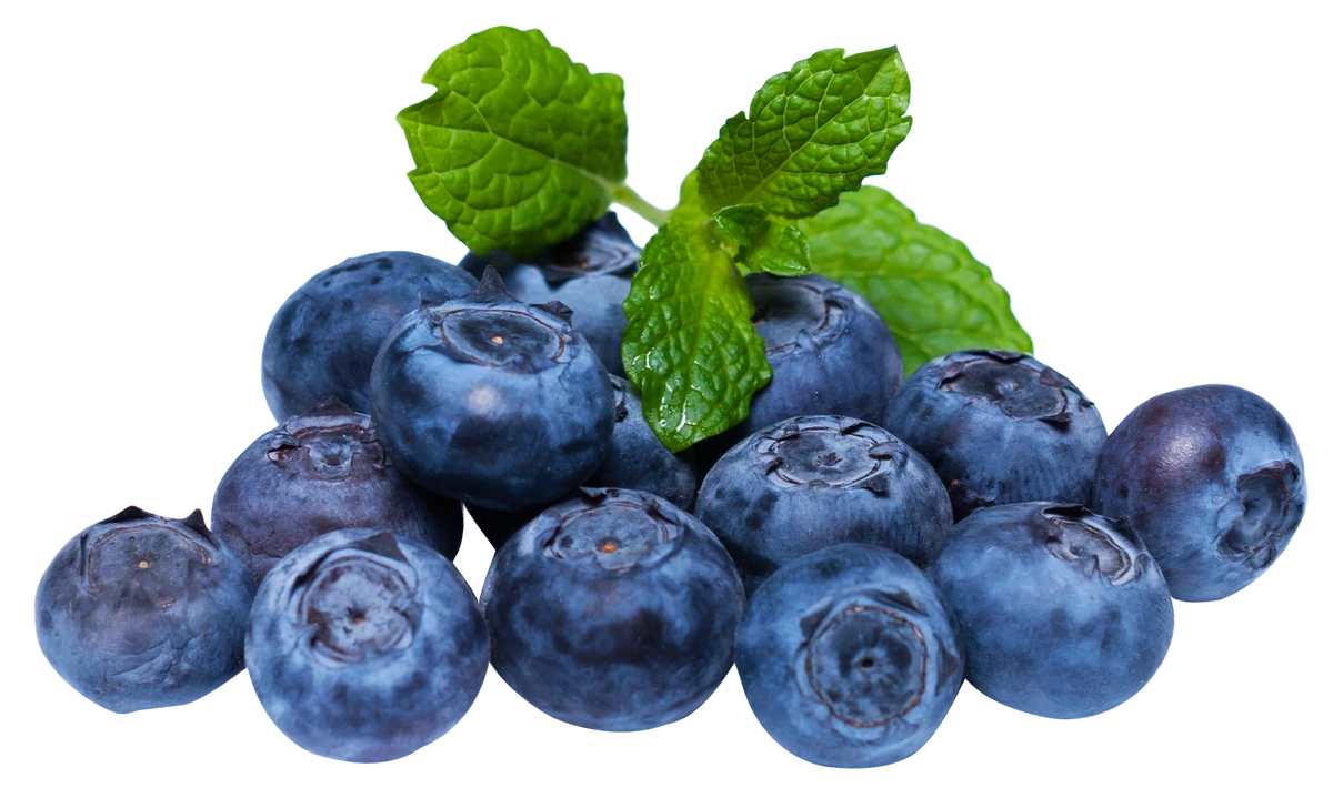 Blueberry | JKKWorks Studio Wiki | Fandom