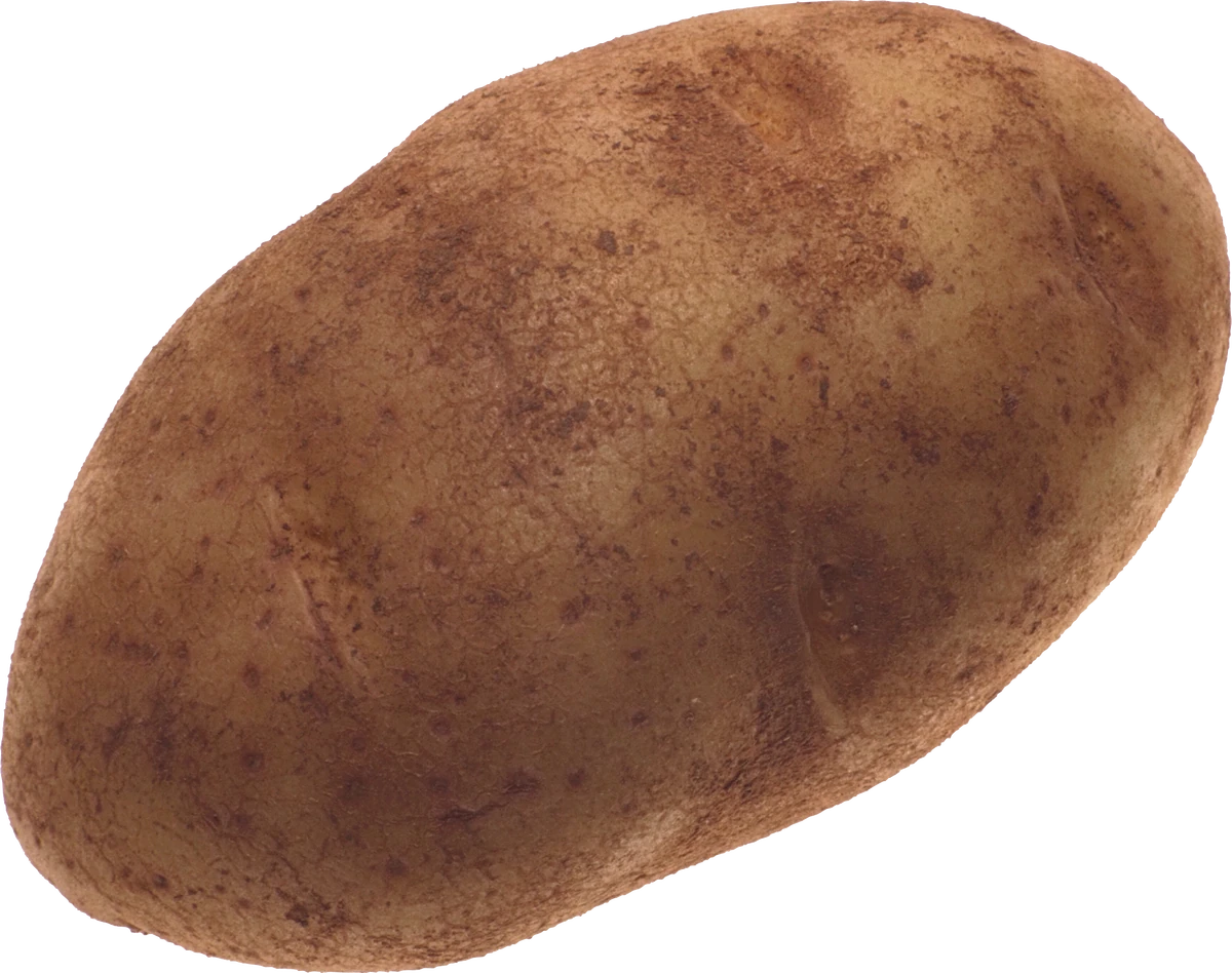 Potato | JKKWorks Studio Wiki | Fandom