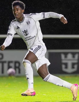 Aaron Loupalo-Bi | Fulham Wiki | Fandom