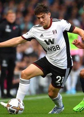 Dan James | Fulham Wiki | Fandom