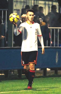 Shane Elworthy | Fulham Wiki | Fandom