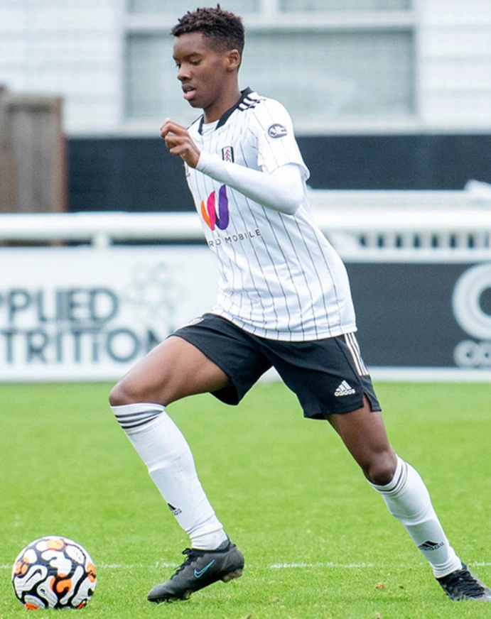 Harvey Araujo | Fulham Wiki | Fandom