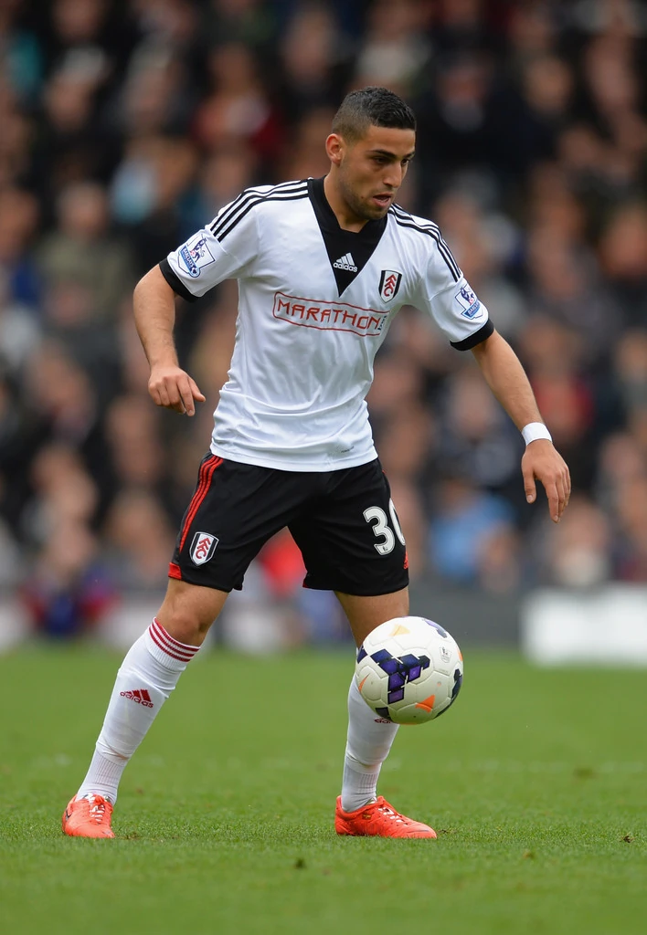 Chris David | Fulham Wiki | Fandom