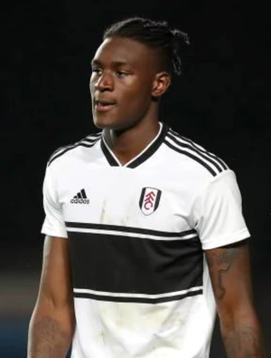 Jerome Opoku | Fulham Wiki | Fandom