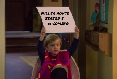 who played mickey full house