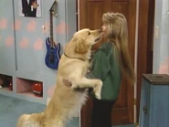 Minnie | Full House | Fandom