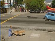 Comet's Excellent Adventure | Full House | Fandom