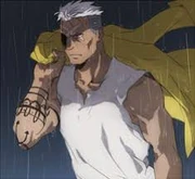 SCAR | FullMetal Alchemist Brotherhood Wiki | Fandom