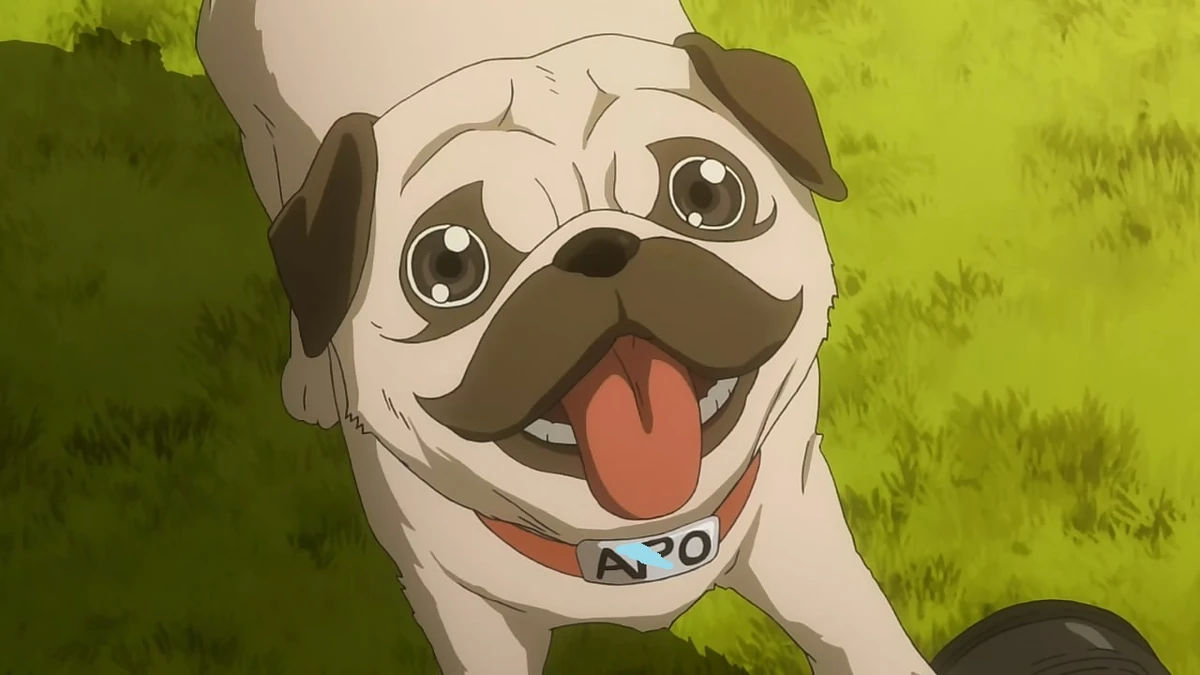 Piggy | Fullmetal Alchemist Fanon Wiki 2 Wiki | Fandom