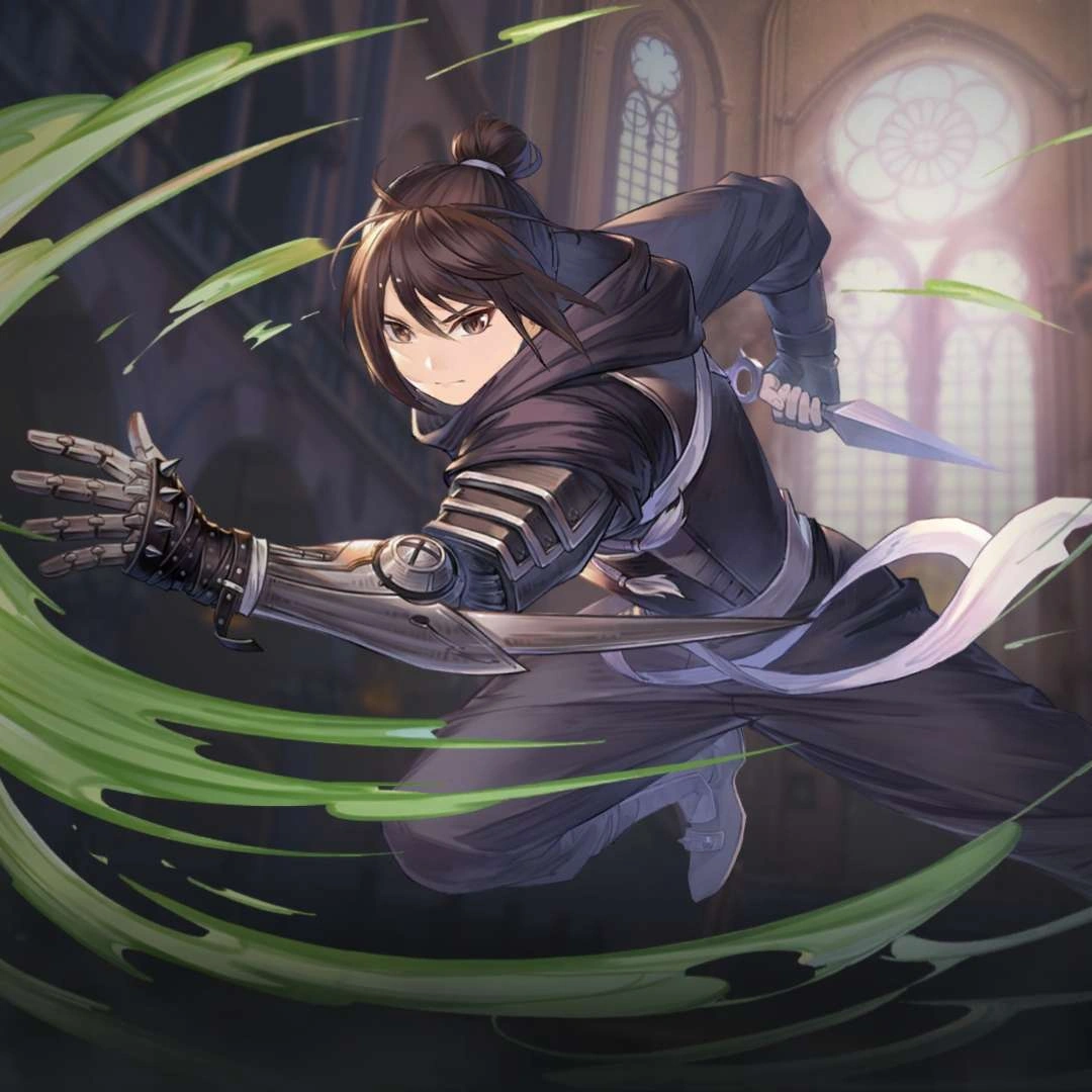 SSR Blue Lan Fan | Fullmetal Alchemist Mobile Wiki | Fandom