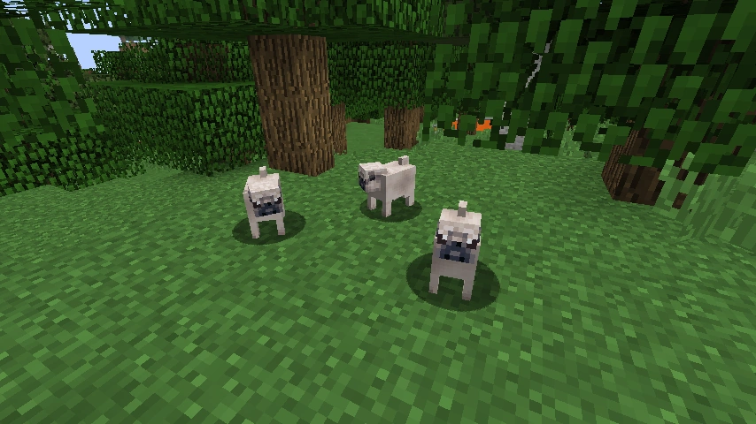 Pug | Fun Craft Wikia | Fandom