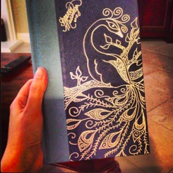 Official Artwork | Fun Fandom KotLC Wiki | Fandom