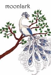 Official Artwork | Fun Fandom KotLC Wiki | Fandom