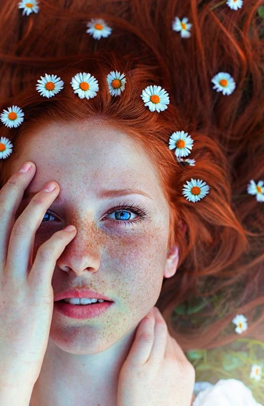 Evelyn Scott | Fun Fandom KotLC Wiki | Fandom