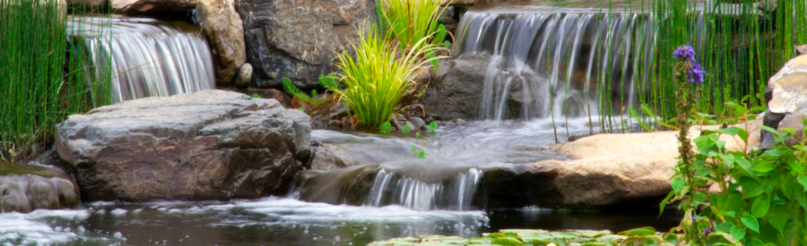 Ekene Osakwe | Fun Fandom KotLC Wiki | Fandom