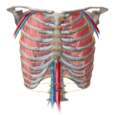 SCP-541 | Fundação SCP Global Wiki | Fandom
