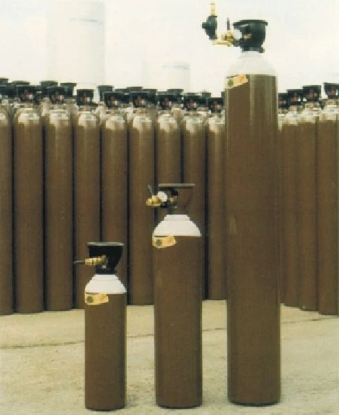 SCP-681 | Fundação SCP Global Wiki | Fandom