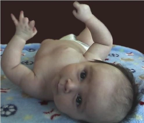 SCP-734 | Fundação SCP Global Wiki | Fandom