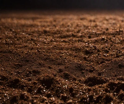 SCP-124 | Fundação SCP Global Wiki | Fandom