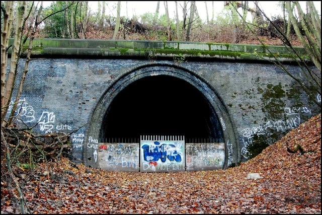 SCP-406 | Fundação SCP Global Wiki | Fandom