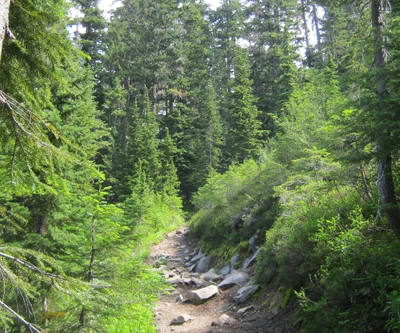 SCP-778 | Fundação SCP Global Wiki | Fandom