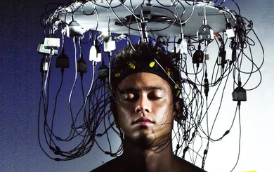 SCP-061 | Fundação SCP Global Wiki | Fandom