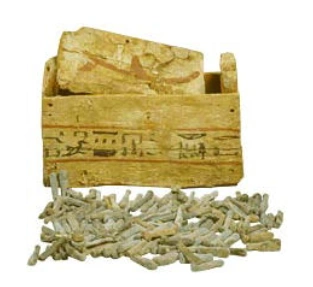 SCP-945 | Fundação SCP Global Wiki | Fandom