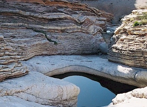 SCP-676 | Fundação SCP Global Wiki | Fandom