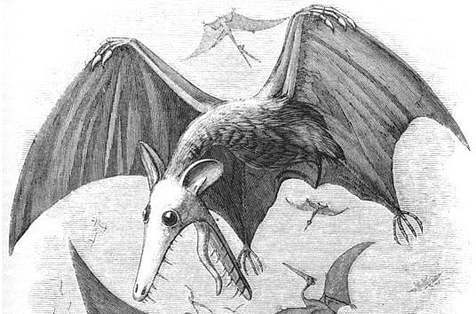 SCP-870 | Fundação SCP Global Wiki | Fandom