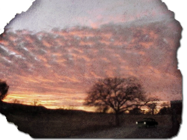 SCP-265 | Fundação SCP Global Wiki | Fandom