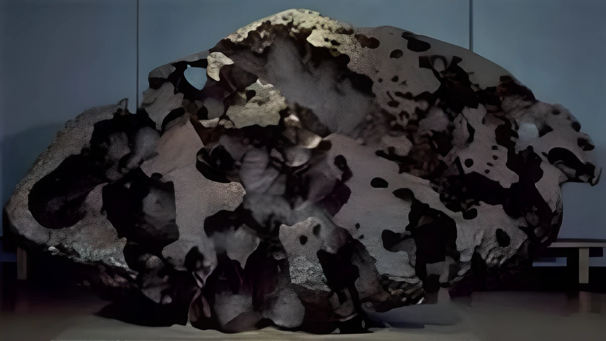 SCP-435 | Fundação SCP Global Wiki | Fandom