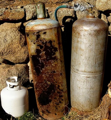 SCP-047 | Fundação SCP Global Wiki | Fandom