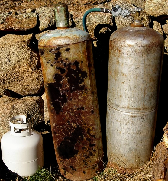 SCP-047 | Fundação SCP Global Wiki | Fandom