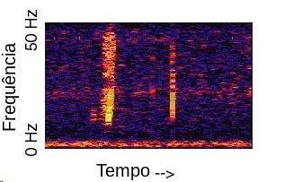 SCP-169 | Fundação SCP Global Wiki | Fandom