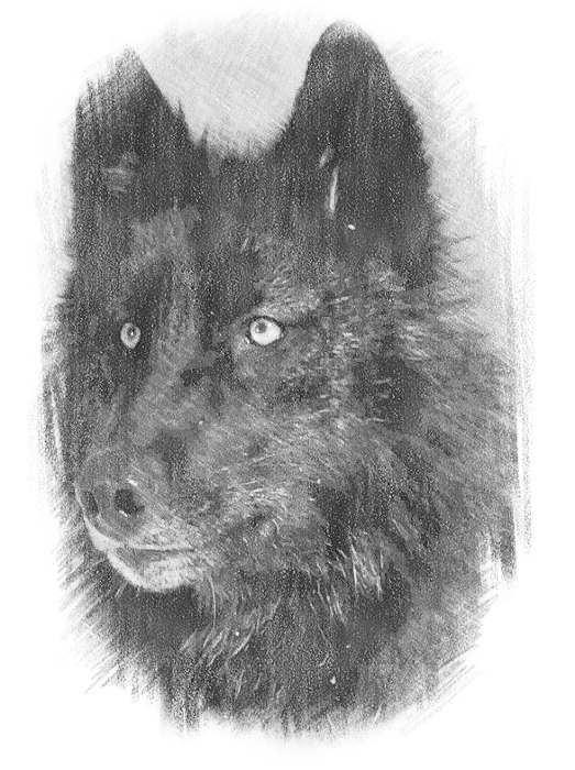 SCP-2746 | Fundação SCP Global Wiki | Fandom