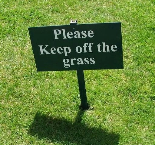 SCP-355 | Fundação SCP Global Wiki | Fandom