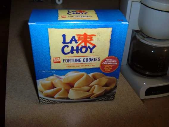 SCP-377 | Fundação SCP Global Wiki | Fandom