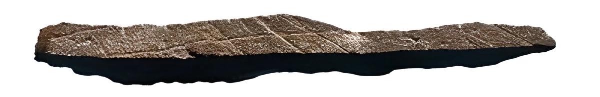 SCP-272 | Fundação SCP Global Wiki | Fandom