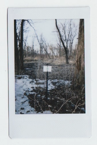 Evelyn | Fundação SCP Global Wiki | Fandom