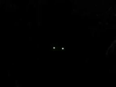 SCP-080 | Fundação SCP Global Wiki | Fandom