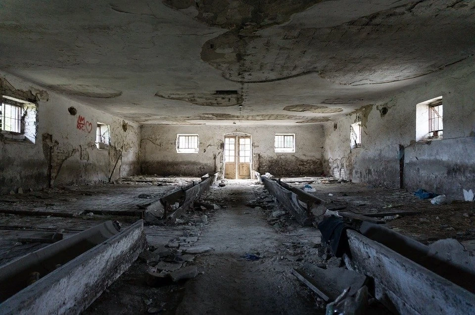 SCP-329 | Fundação SCP Global Wiki | Fandom