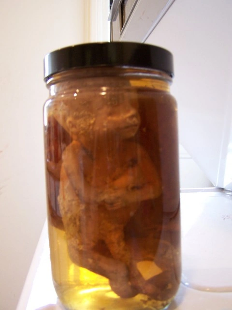 SCP-395 | Fundação SCP Global Wiki | Fandom