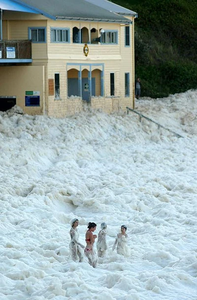 SCP-171 | Fundação SCP Global Wiki | Fandom