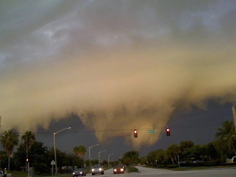 SCP-460 | Fundação SCP Global Wiki | Fandom