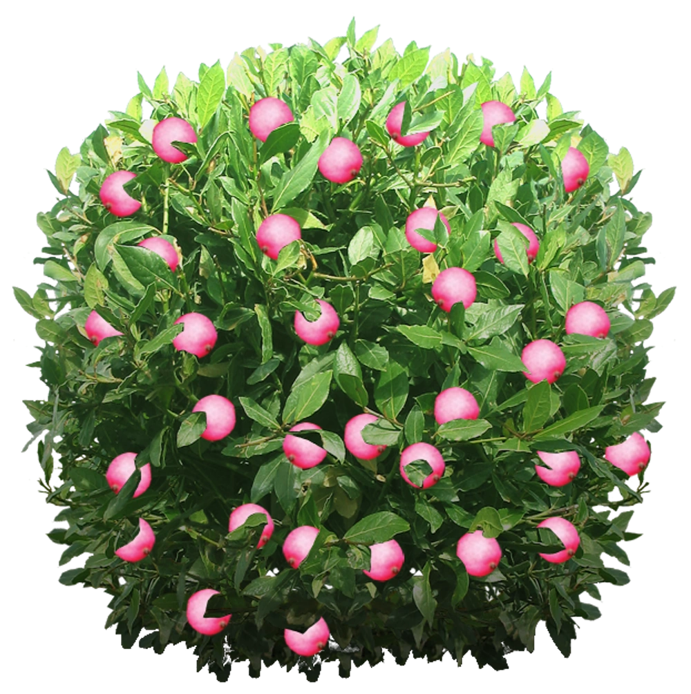 SCP-324 | Fundação SCP Global Wiki | Fandom