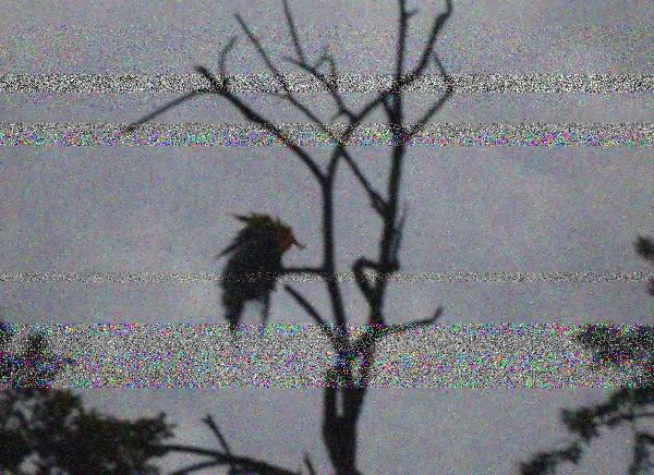 SCP-746 | Fundação SCP Global Wiki | Fandom