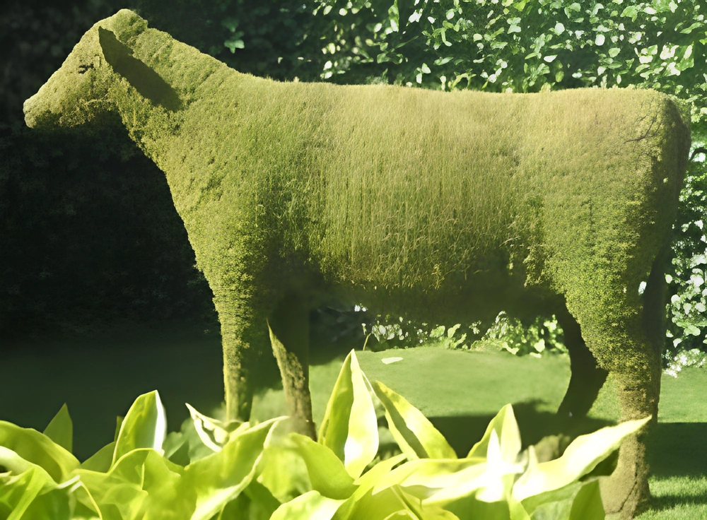 SCP-843 | Fundação SCP Global Wiki | Fandom