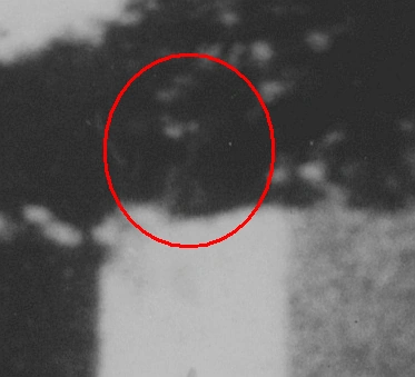 SCP-001 - A Conspiração | Fundação SCP Global Wiki | Fandom